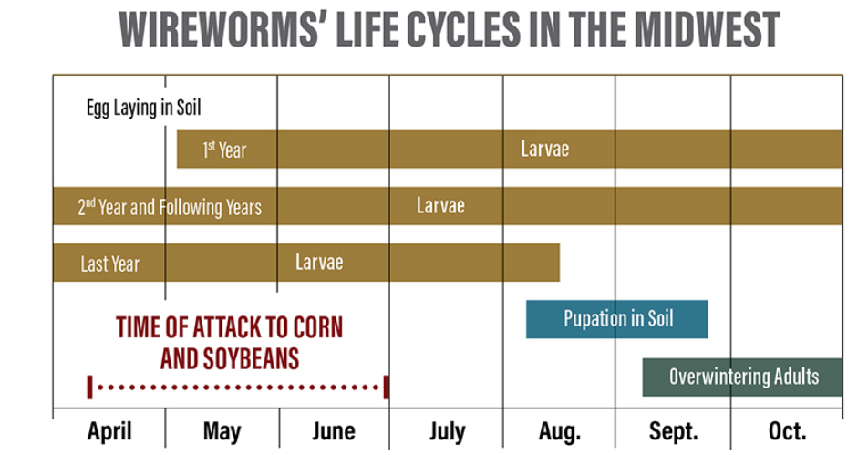Ferrie: 5 Ways to Stop Early-Season Pests and Insects Now | AgWeb